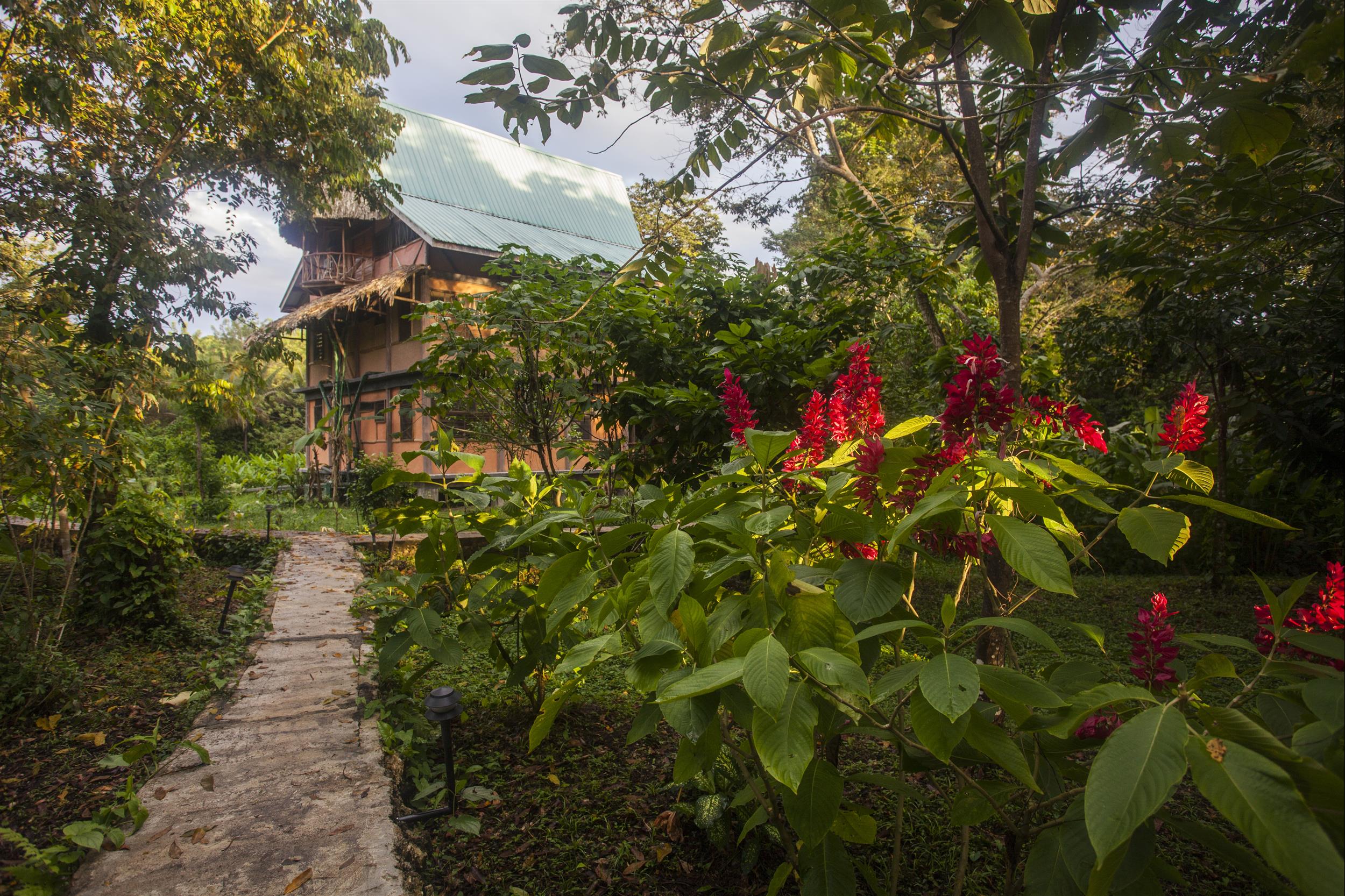 Belize Honeymoon Packages - Cotton Tree Lodge